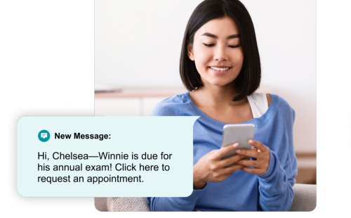 Webinars | IDEXX Software